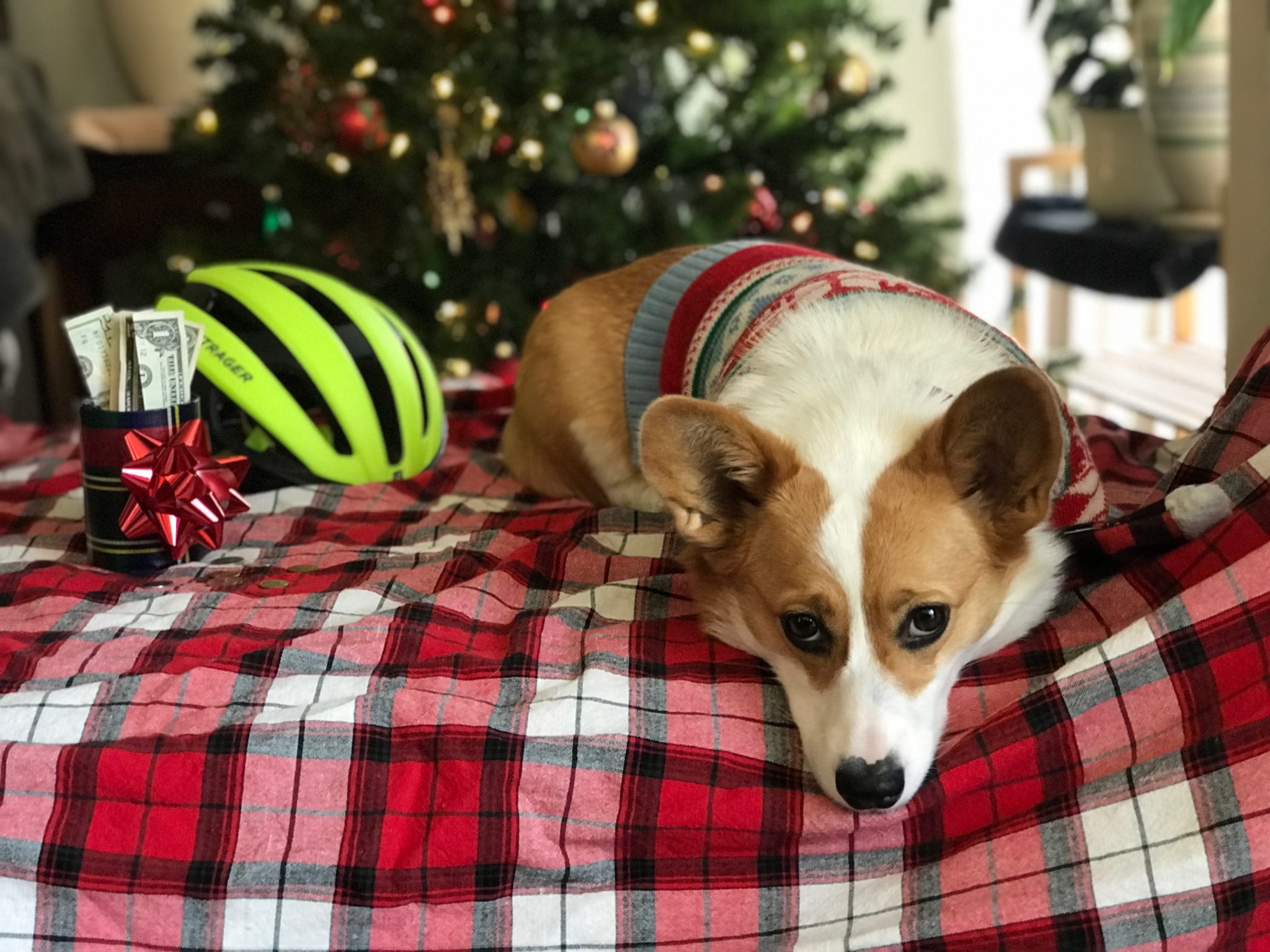 Bolo Alert for Mid-Wilshire hit-and-run, NTSB ebike and e-scooter ...