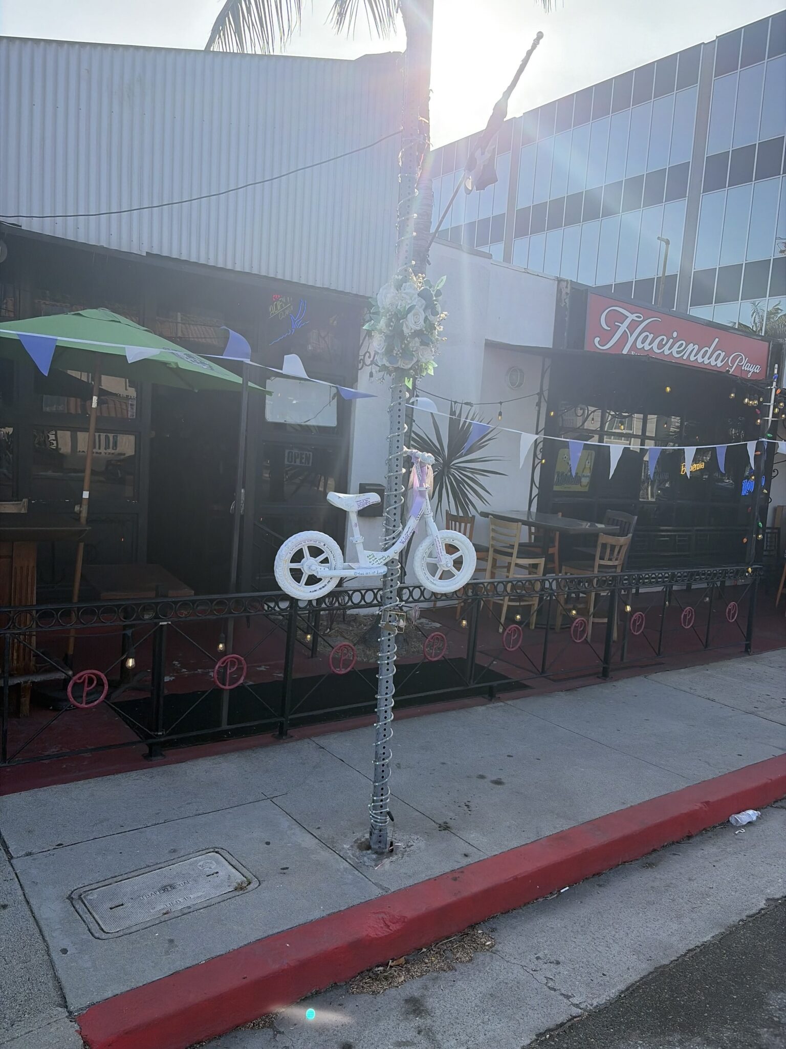 Regan Cole-Graham ghost bike stolen from Playa del Rey, and errant ...
